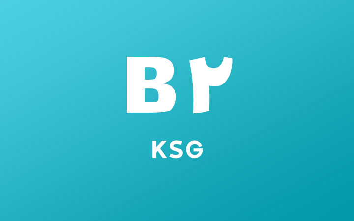 دوره مهارت های ویژه KSG B2 - کد 4906 - دویچ وب