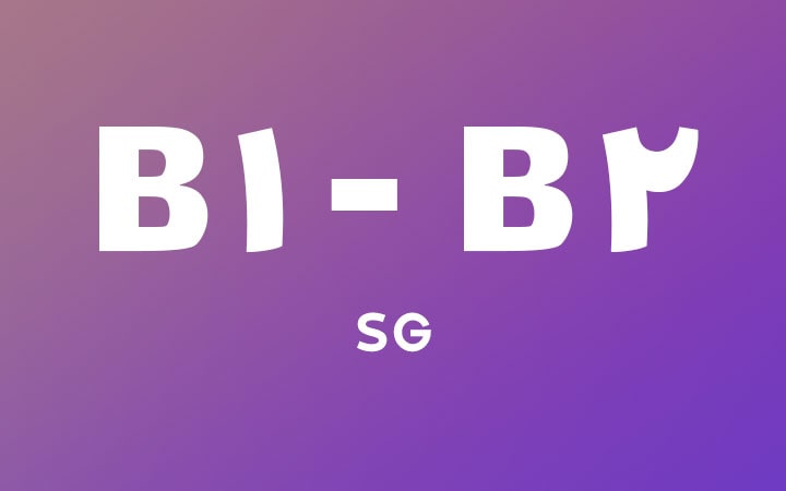 دوره مهارت نوشتار و دستور زبان SG B1-B2 - کد 6554 - دویچ وب